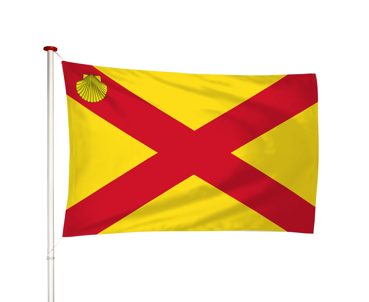 Vlag Mijnsheerenland - Vlaggen Unie