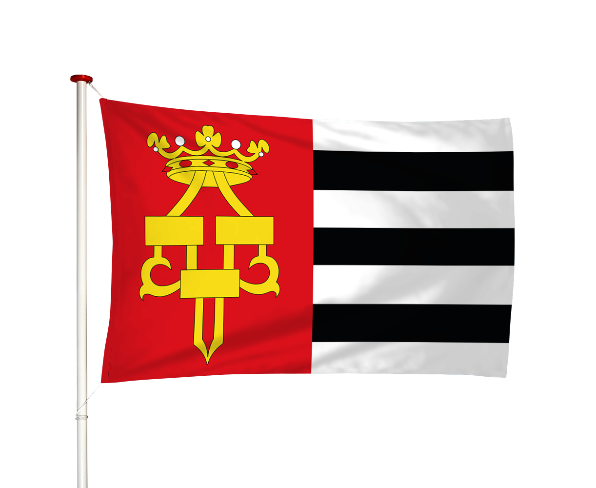 Vlag Drachten - Vlaggen Unie