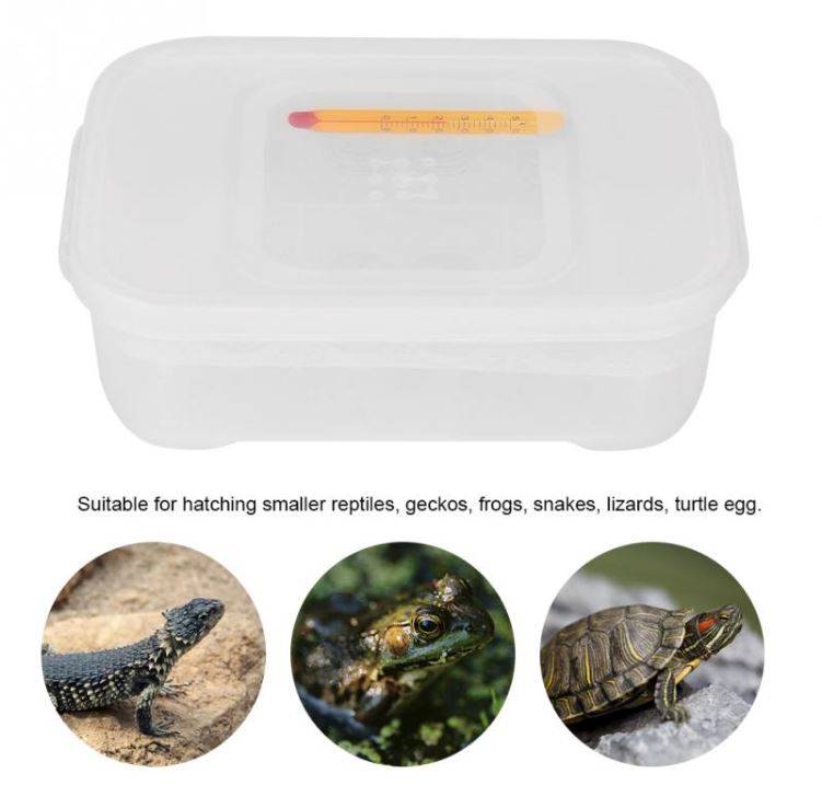 Incubator Box - ReptileShoply