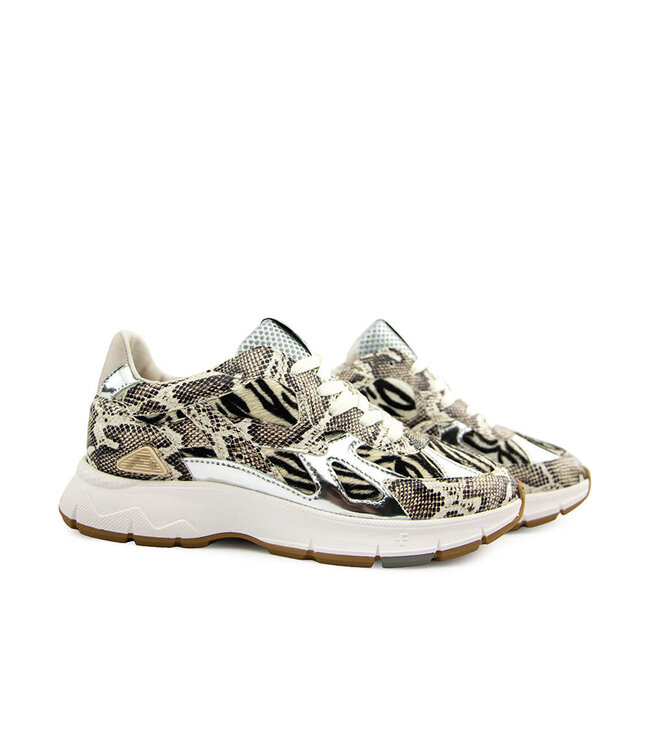 Floris van Bommel Daysi 07.01 Black I Low Worldwide Shipment Fees ...