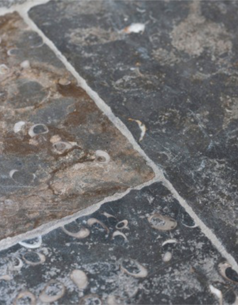 Medieval French Prehistoric Fossil Stone Floor Tiles - The Antique ...