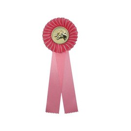 Rozetten voor de paardensport - Sportprijzen