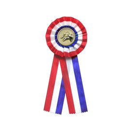 Rozetten voor de paardensport - Sportprijzen