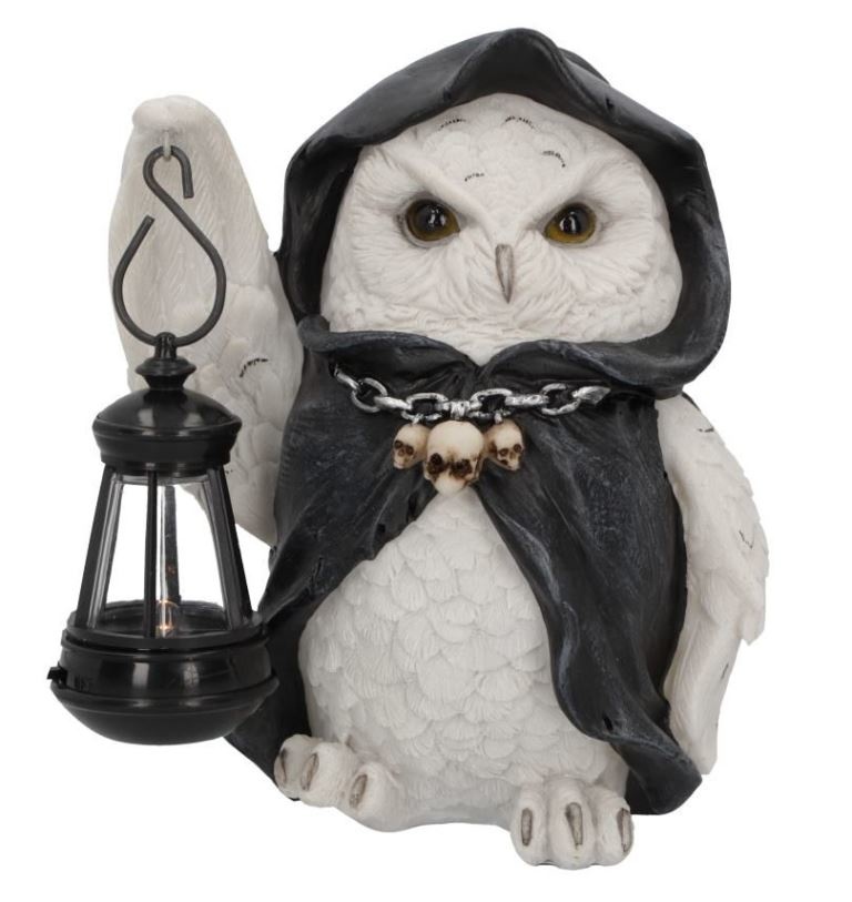 Nemesis Now Reapers Flight Magere Hein Uil Beeldje | Boutique Trukado ...