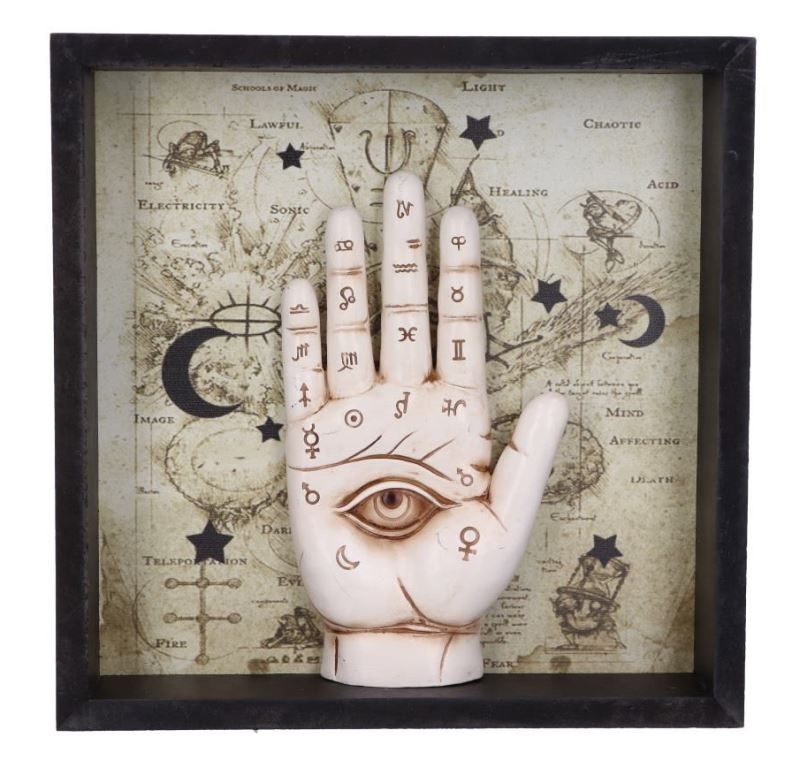 Palmistry Companion Framed Wall Mounted Art | Boutique Trukado ...