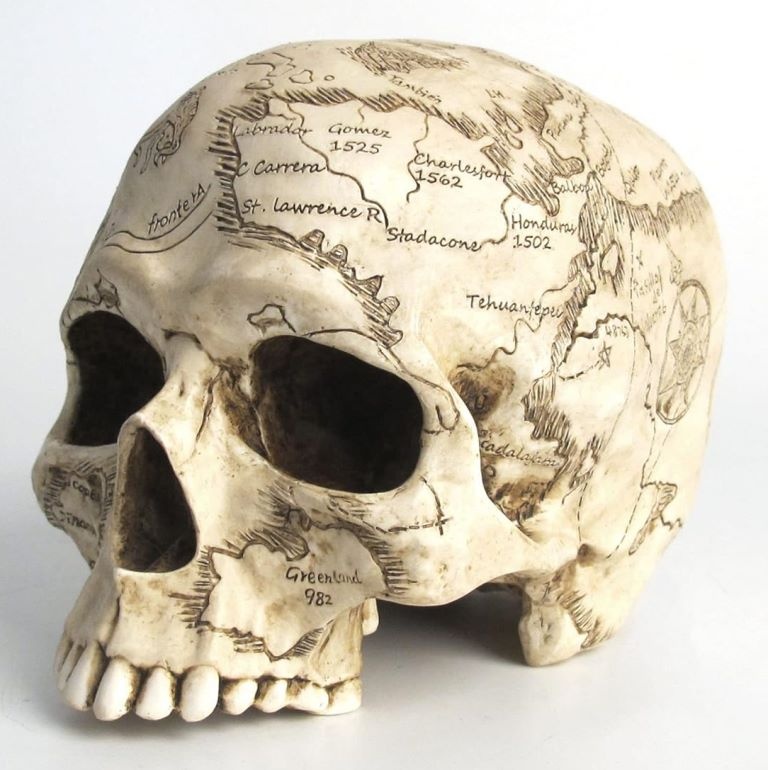 Craniumography Skull Map | Boutique Trukado - Boutique Trukado