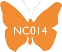 SCARVA NC014 MANDARIJN 100 G - SELADON