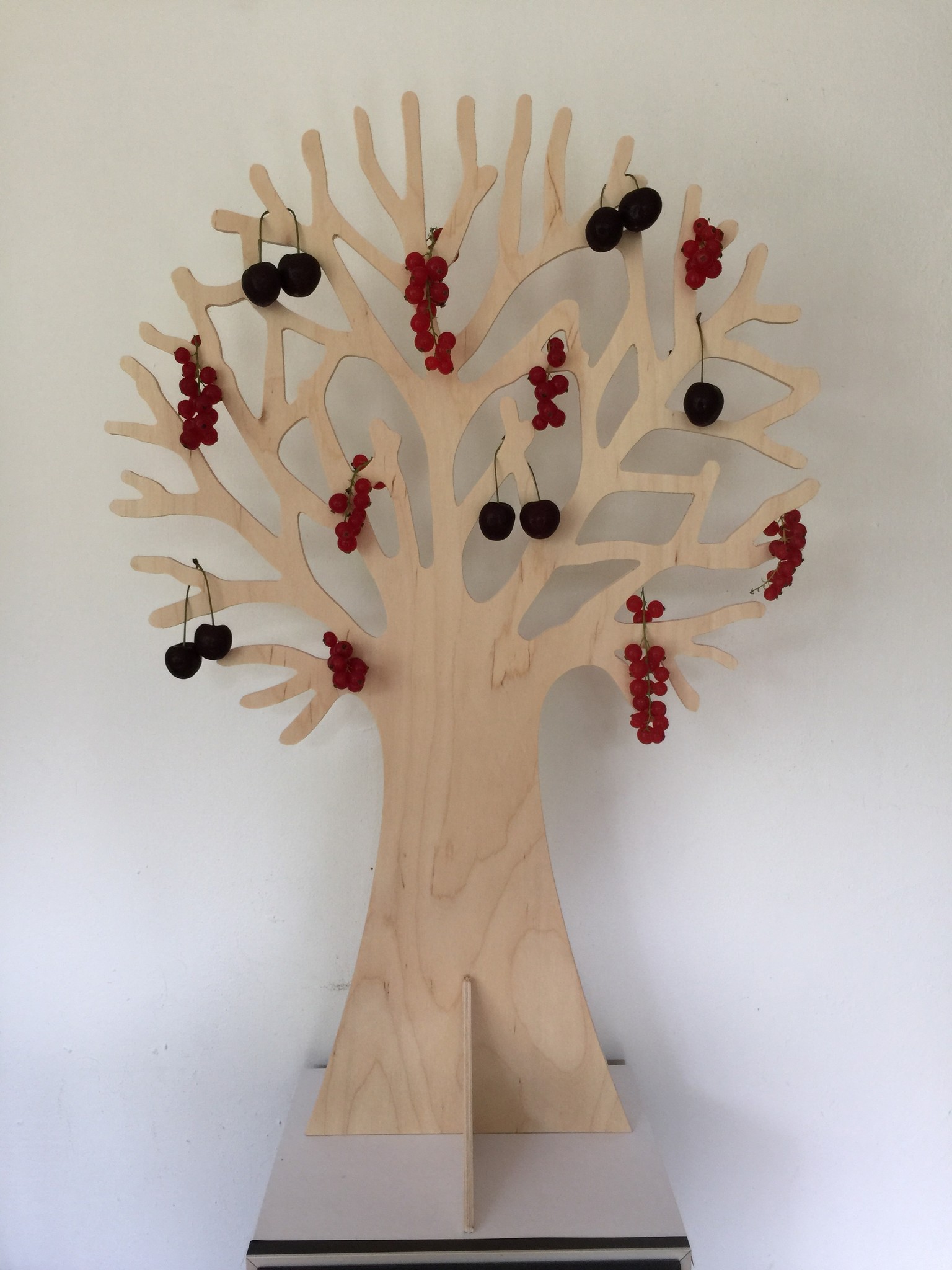 Speelbelovend Houten grote boom - Hout en Plezier - Hout en Plezier