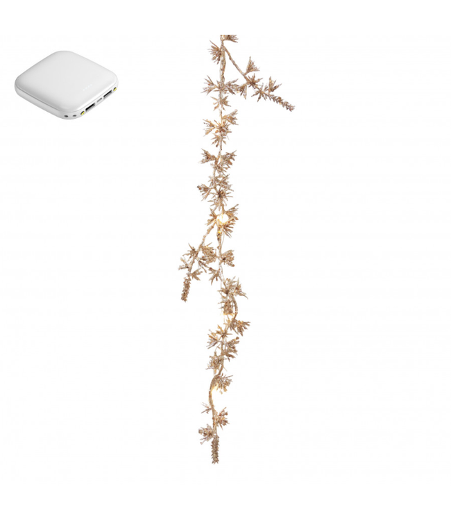 Lichtslinger 180cm met 20 led lichtjes • Couleur Locale