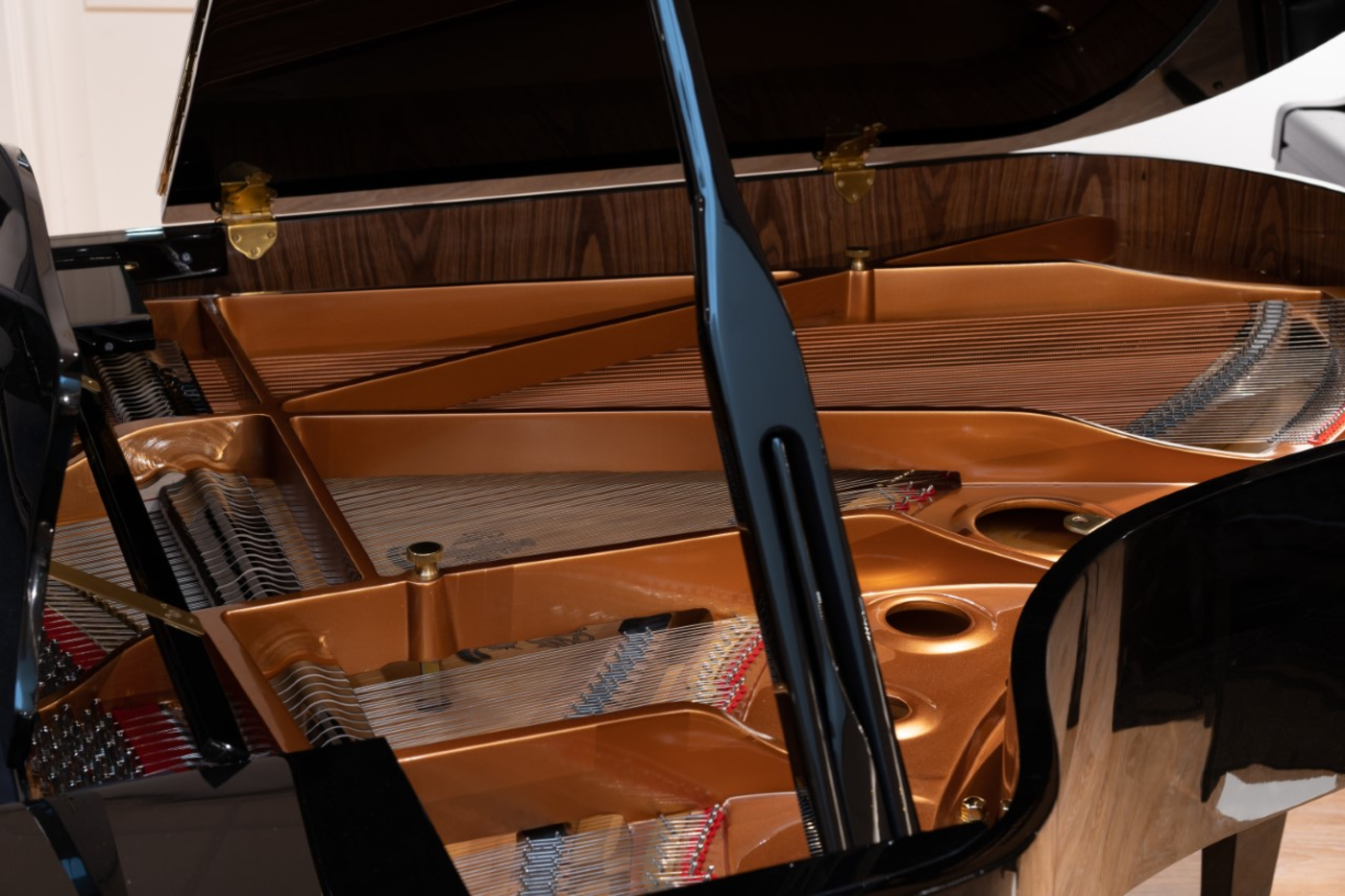 PianoDisc grand piano - PianoDisc Europe