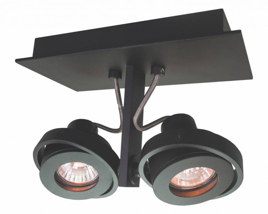 LioLights Ceiling spot PL MEIST2-B - PerfectLights