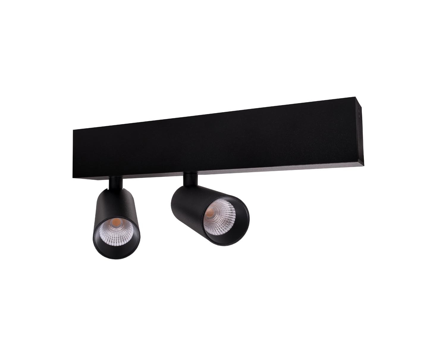 TWIN LED surface-mounted spot black - PerfectLights