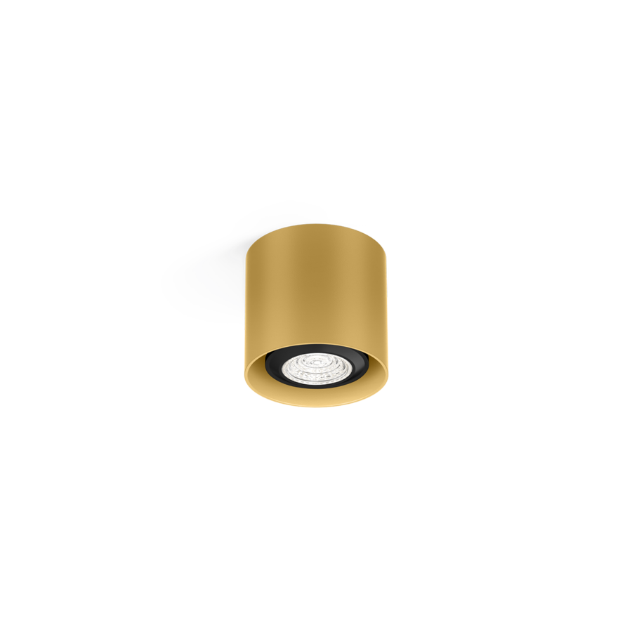 Ceiling spotlight Ray Mini 1.0 PAR16 - PerfectLights