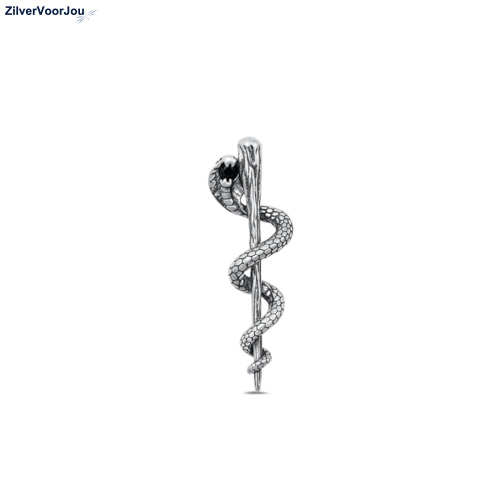 Zilveren esculaap kettinghanger - ZilverVoorJou