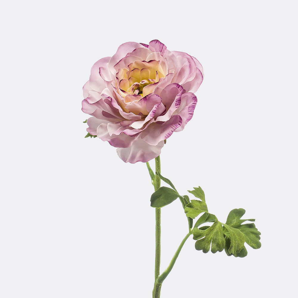 Kunstbloem Ranonkel paars (61 cm) - Hoogwaardige kwaliteit - FloraWorks