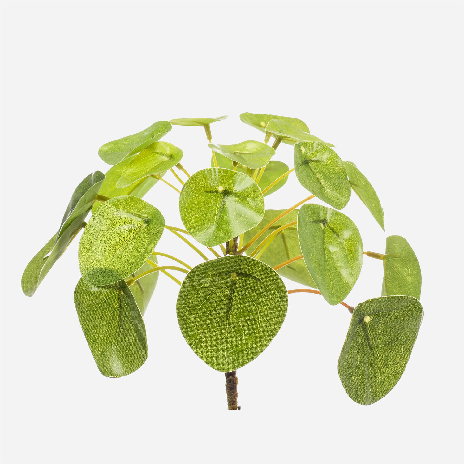 Kunstplant steker Mini Pilea (13 cm) - Hoogwaardige kwaliteit - FloraWorks