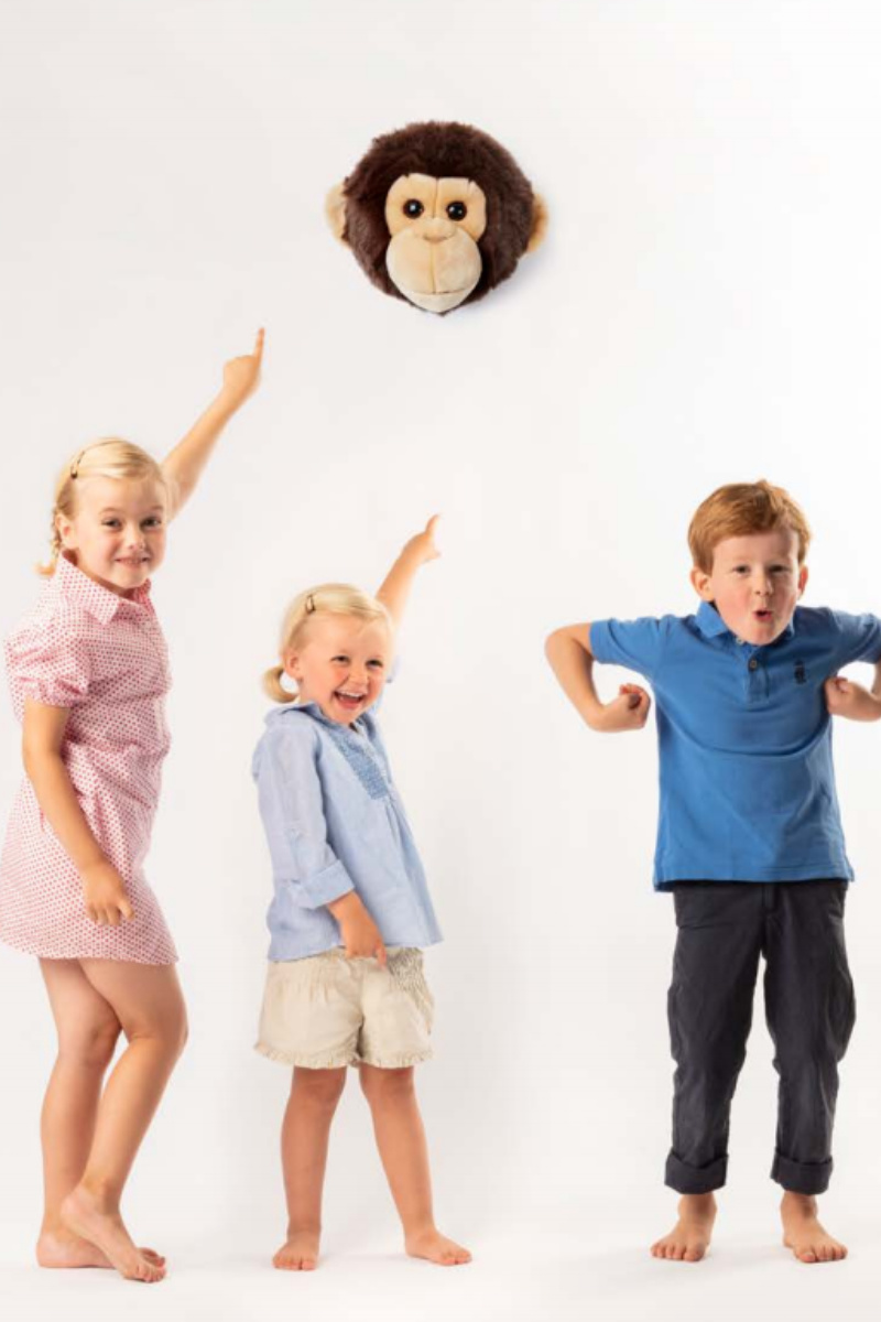 Wild and Soft Monkey trophy soft toy Joe | Trophy soft toy - Rocket Toys