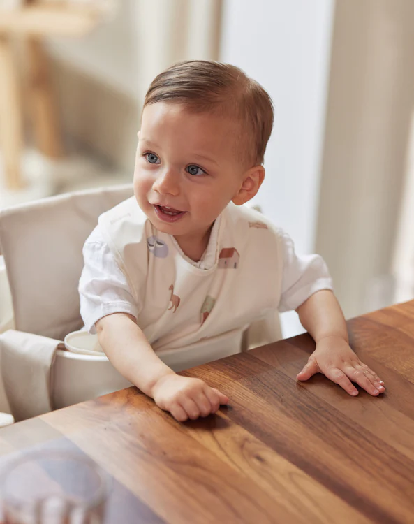 Jollein Bib Waterproof Farm 2 pcs. - Baby Store - Rocket Toys