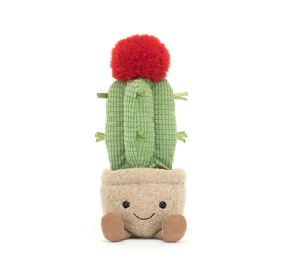 Jellycat Amuseable Moon Cactus - Buy here soft toys at Rockettoys.com ...