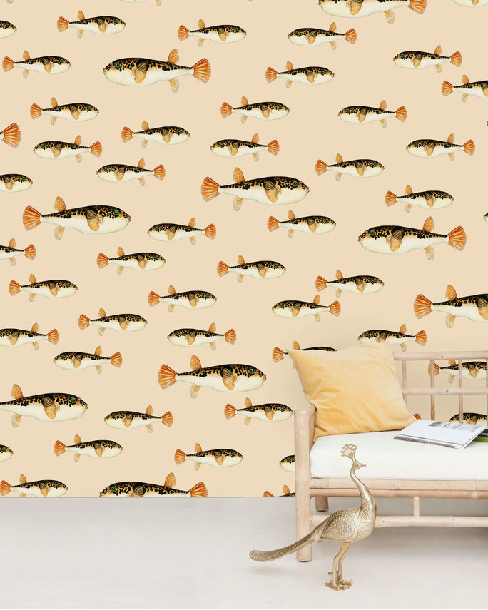 Follow My Fin Wallpaper - Creative Lab Amsterdam B2B