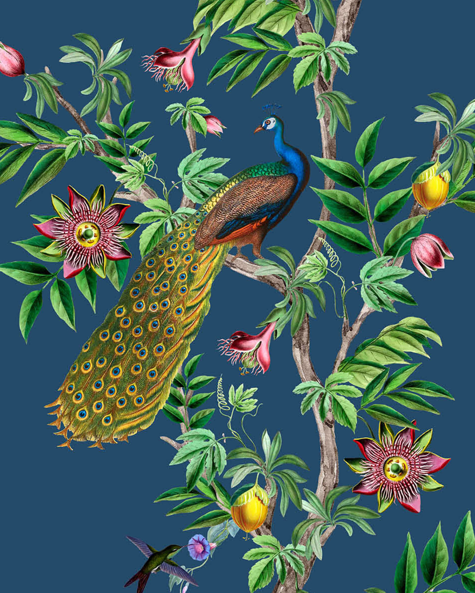 Passion Peacock Mural - Creative Lab Amsterdam B2B