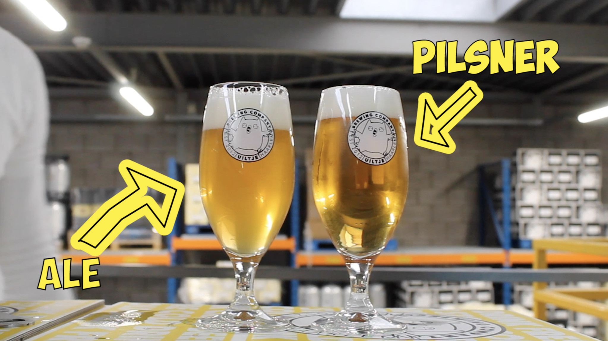 What Is A Pale Ale Examples
