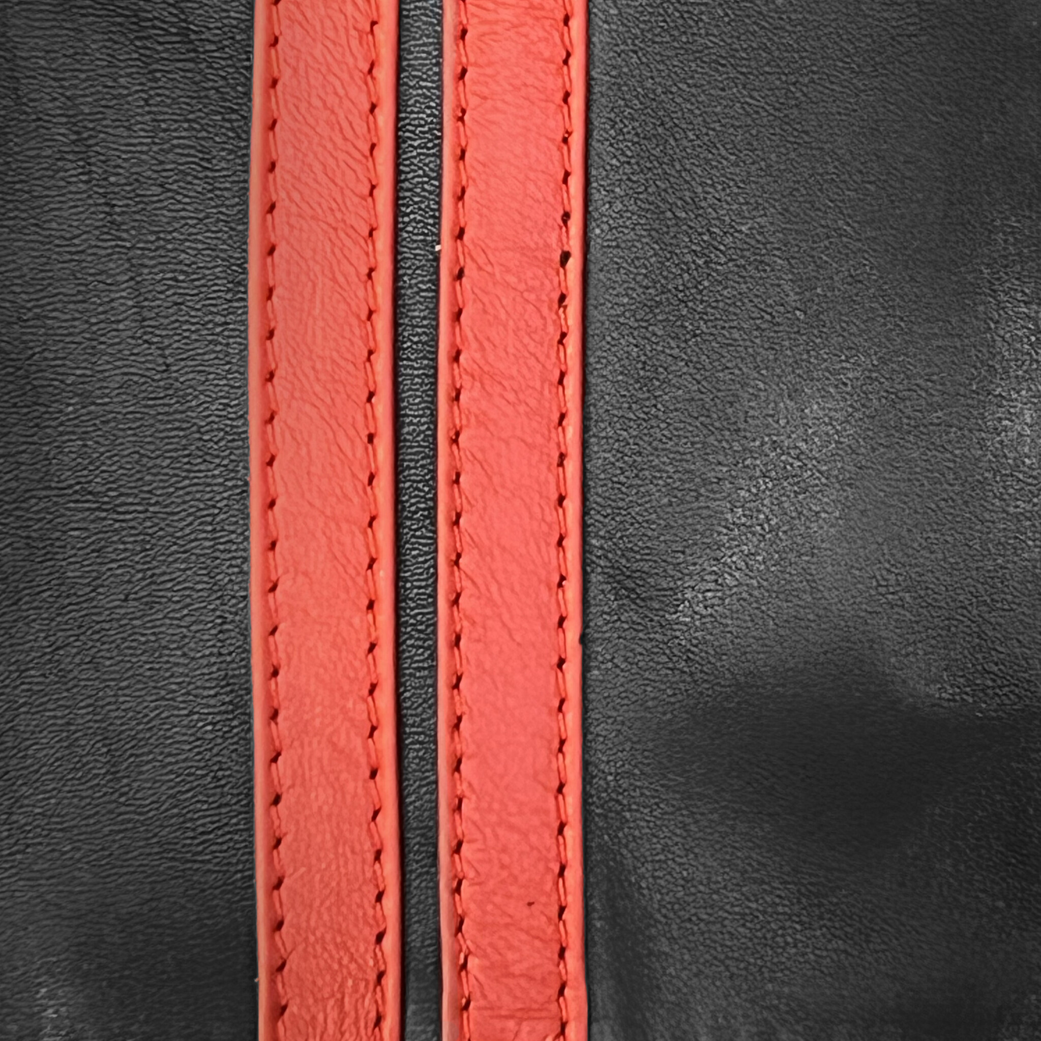 RoB Leather pants option double coloured stripes - RoB Berlin