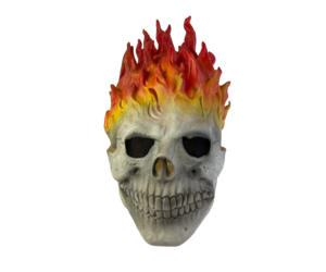 Ghost Rider mask - MisterMask.nl