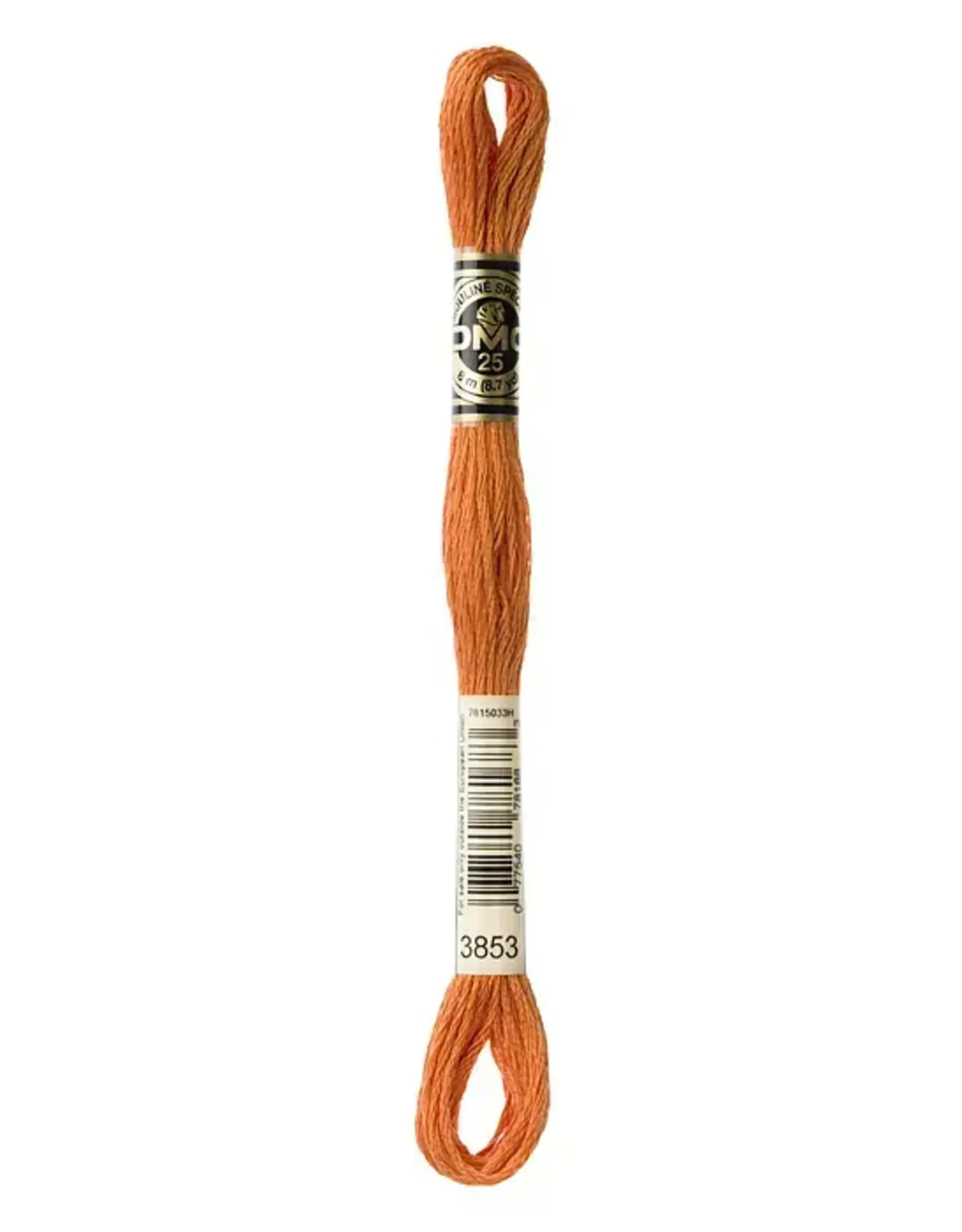 DMC - Mouliné Special - 3853 - Copper - Nanno Creative