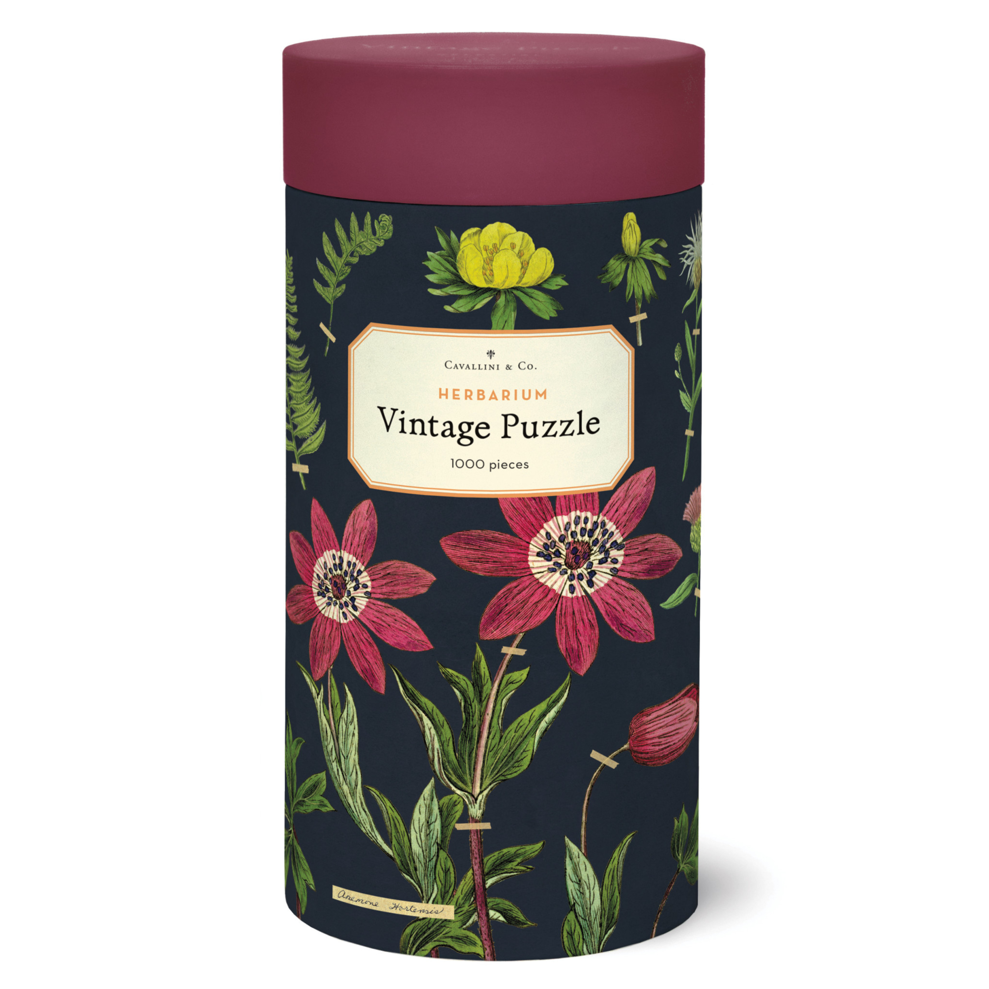 CAVALLINI & Co. - Papeterie Michel