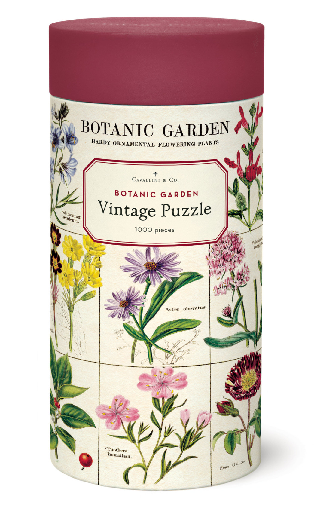 Cavallini Puzzle 1000 pièces 55x70cm Jardin Botanique - Papeterie Michel
