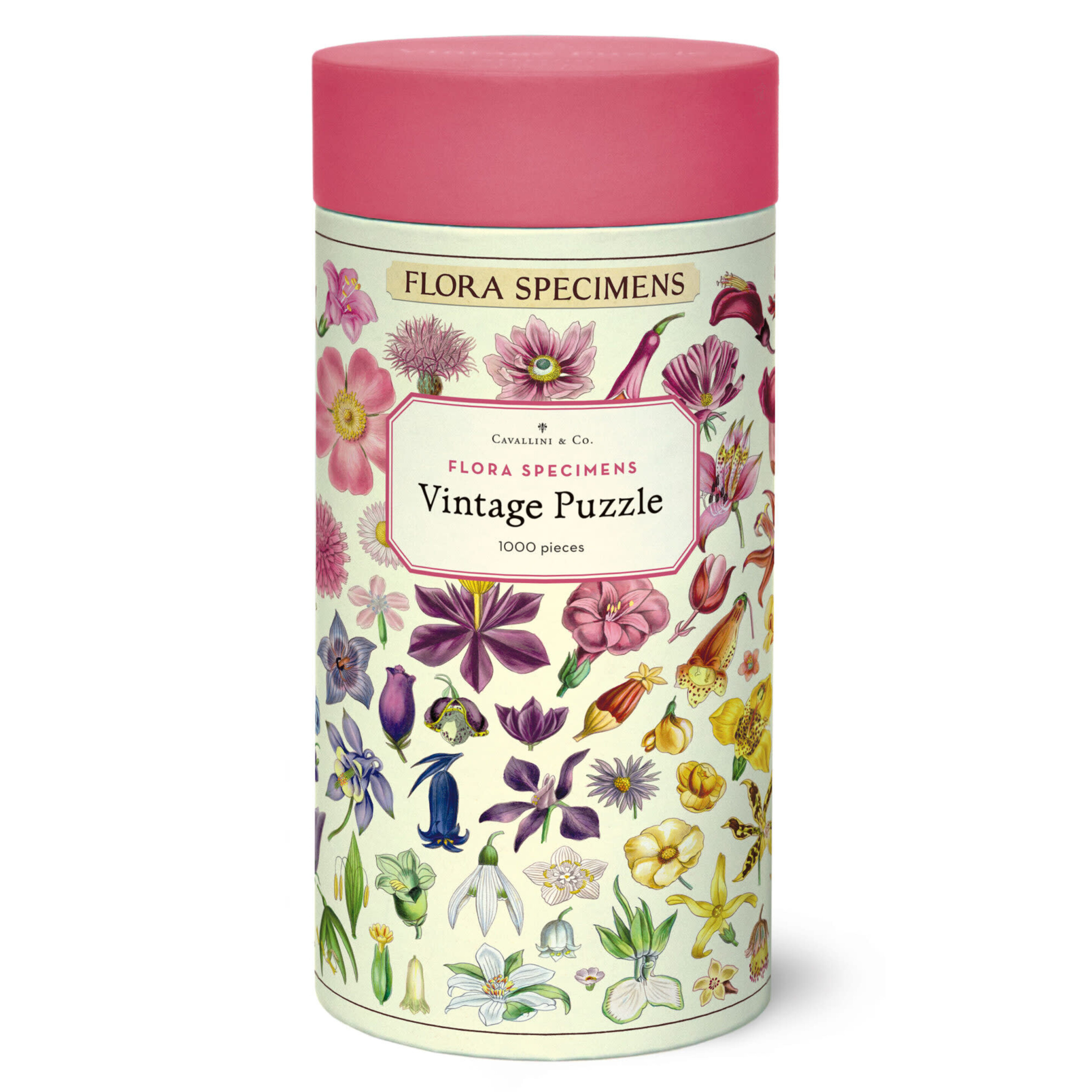 CAVALLINI & Co. - Papeterie Michel