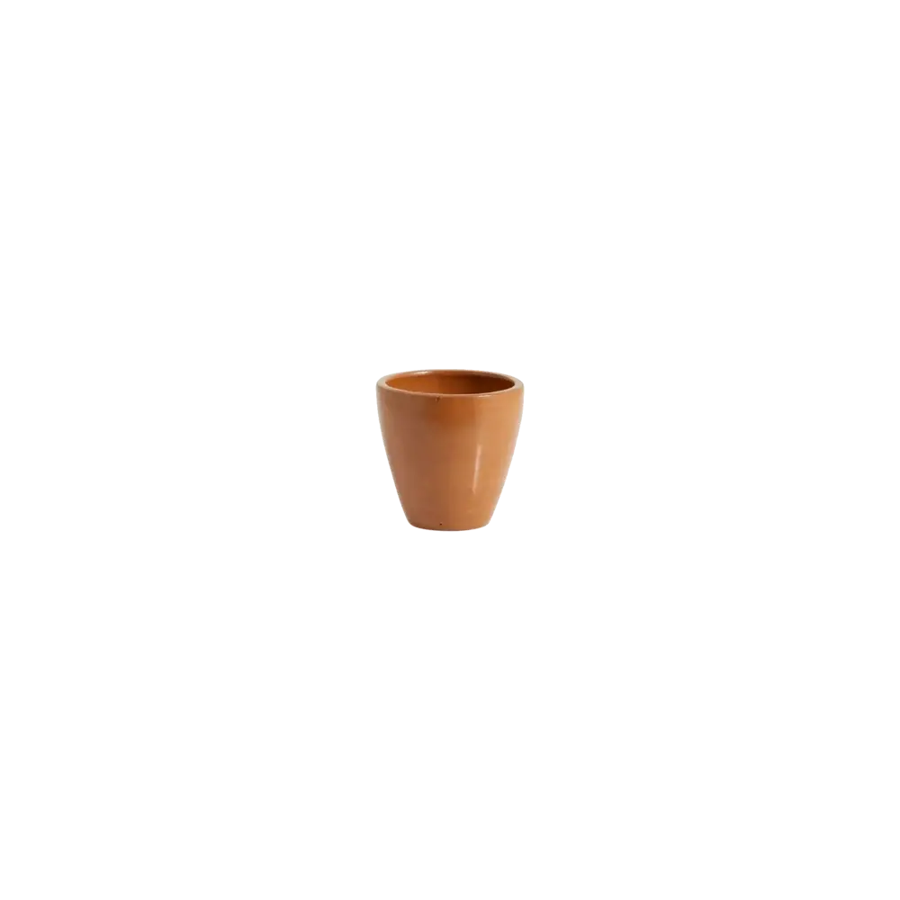 Nordal Juniper cups brown set of 6 pieces - LIVING AND CO.