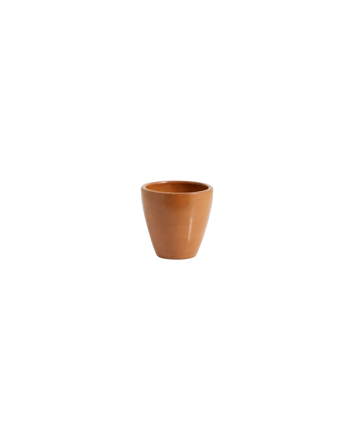 Nordal Juniper cups brown set of 6 pieces - LIVING AND CO.