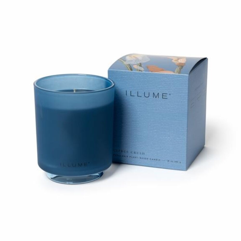 Candela Illume Citrus Crush Box blu - LIVING AND CO.