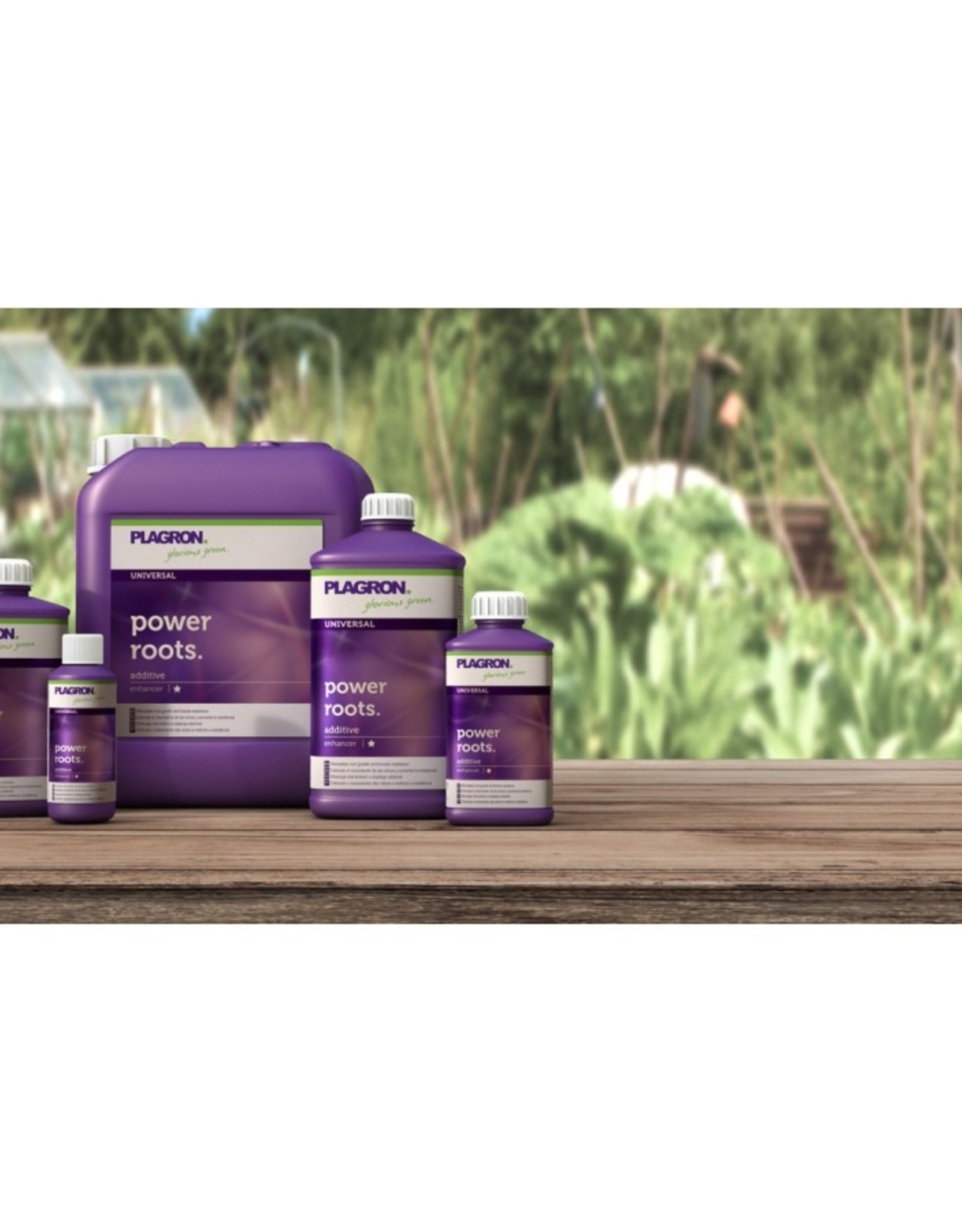 Plagron Power Roots - Sputnick Growshop