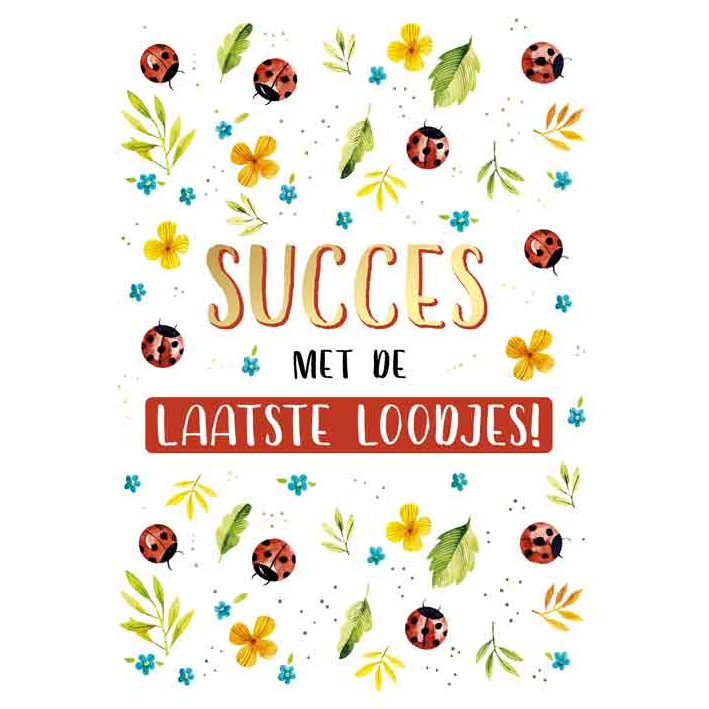 Succes met de Laatste Loodjes! - Wenskaart Everyday - KunstZinnig Kado ...