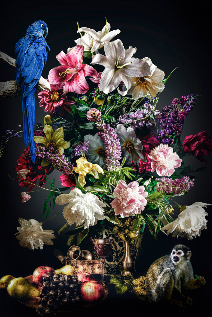 The Still Life Collection III - Gratis thuisbezorgd - De Woon Winkel