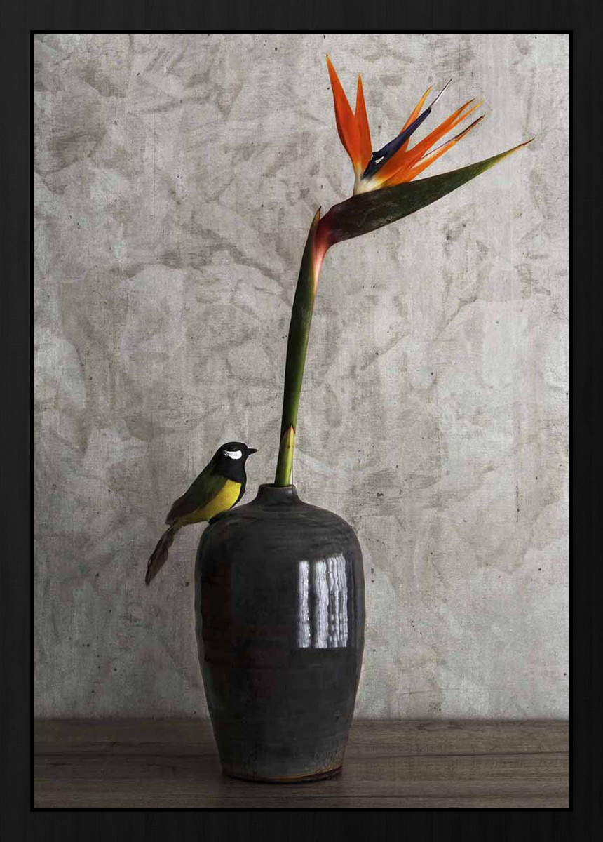 Still Life Bird - Gratis thuisbezorgd - De Woon Winkel
