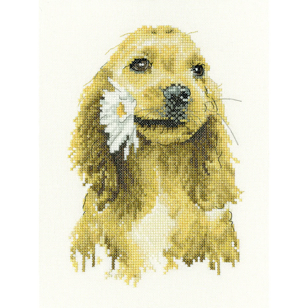 Heritage Crafts Borduurpakket Daisy Cocker Spaniel Kopen? - Art en Hobby