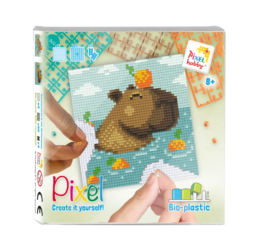 Pixel Set Capibara Kopen? - Art en Hobby
