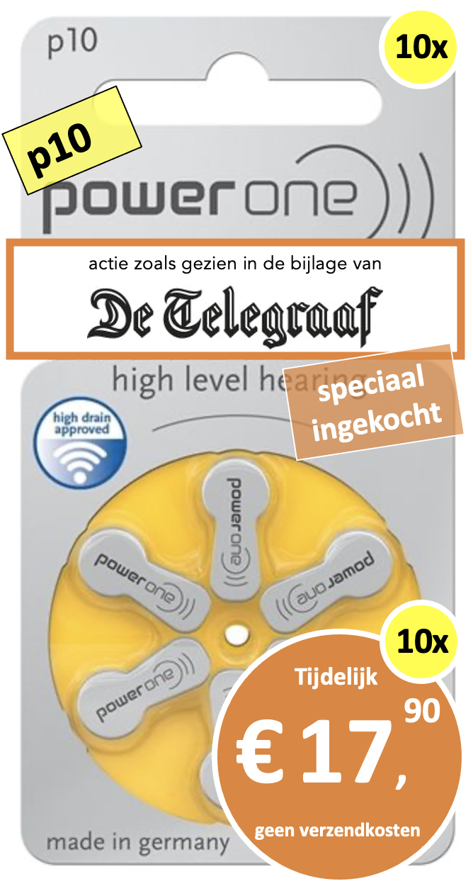 PowerOne p10 – 10 packs - BestBatteryDeals.com