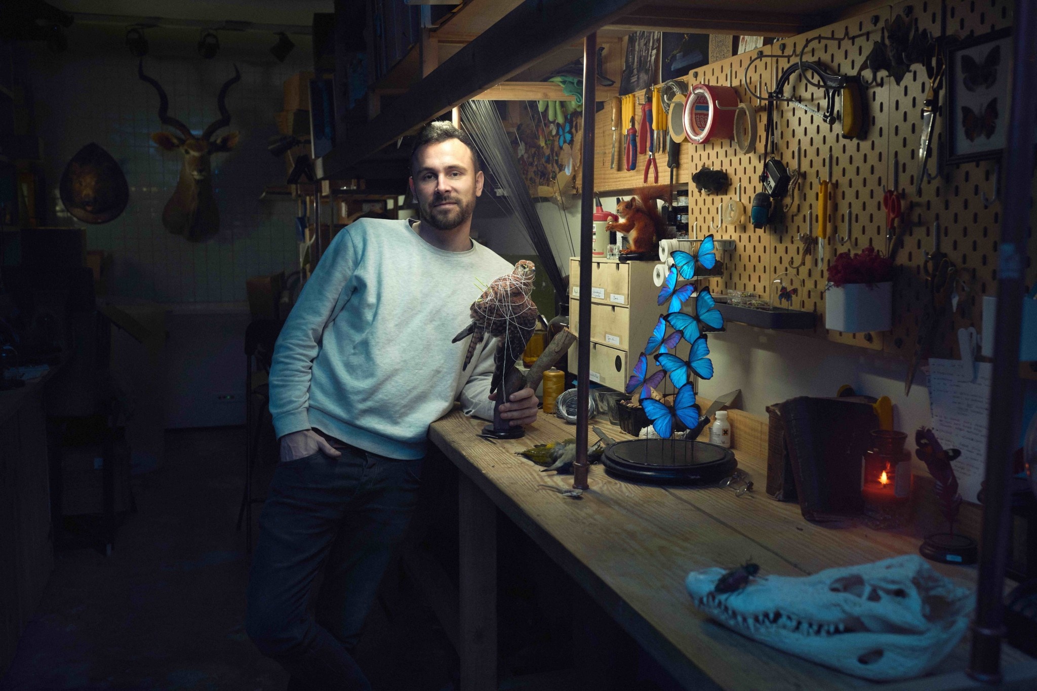 WORKSHOP - Mounting Insects (Beetle & Butterfly) - Animaux Spéciaux