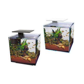 Superfish Qubiq 60 Pro - Aqua Natura