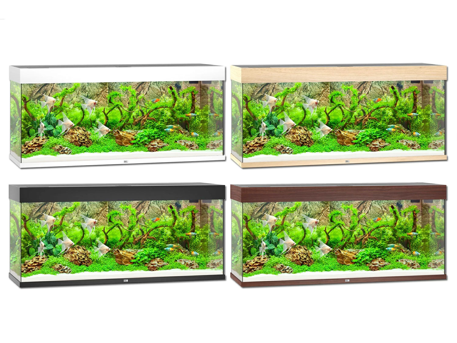 Juwel Rio 240 LED - Aqua Natura