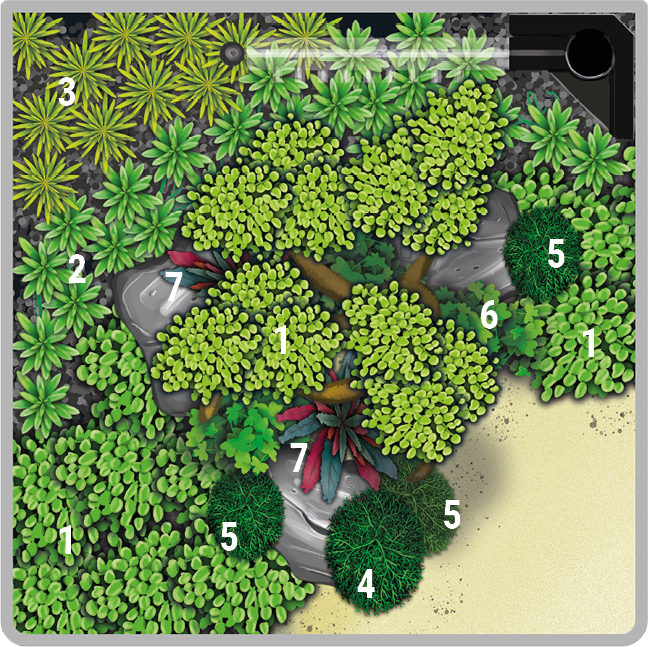 Dennerle Decor Box Bonsai - Aqua Natura