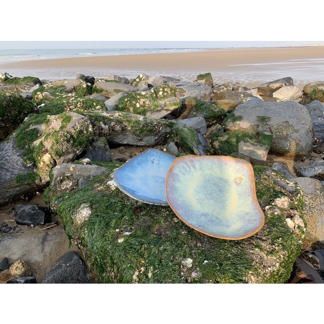 This unique shell-shaped plate has a functional sized presentation ...