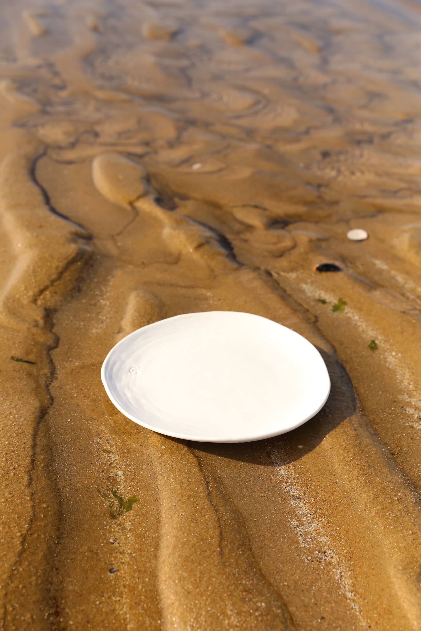 Een tijdloos uniek lichtgebogen en bord met unieke “La Plage” boord ...