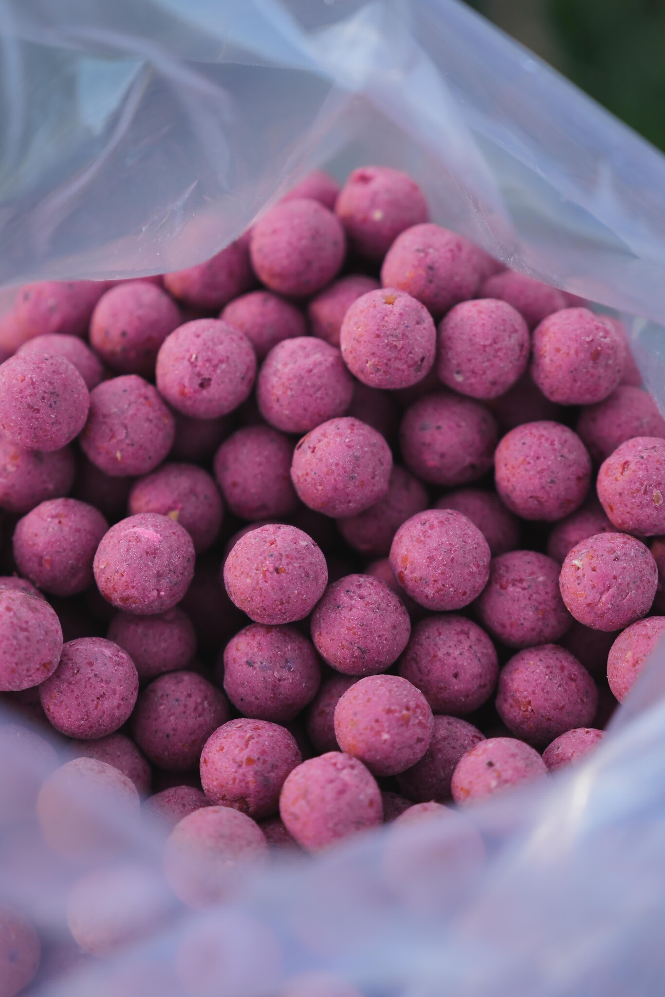 Pink Punch - BFP Baits & BFP Carp Store
