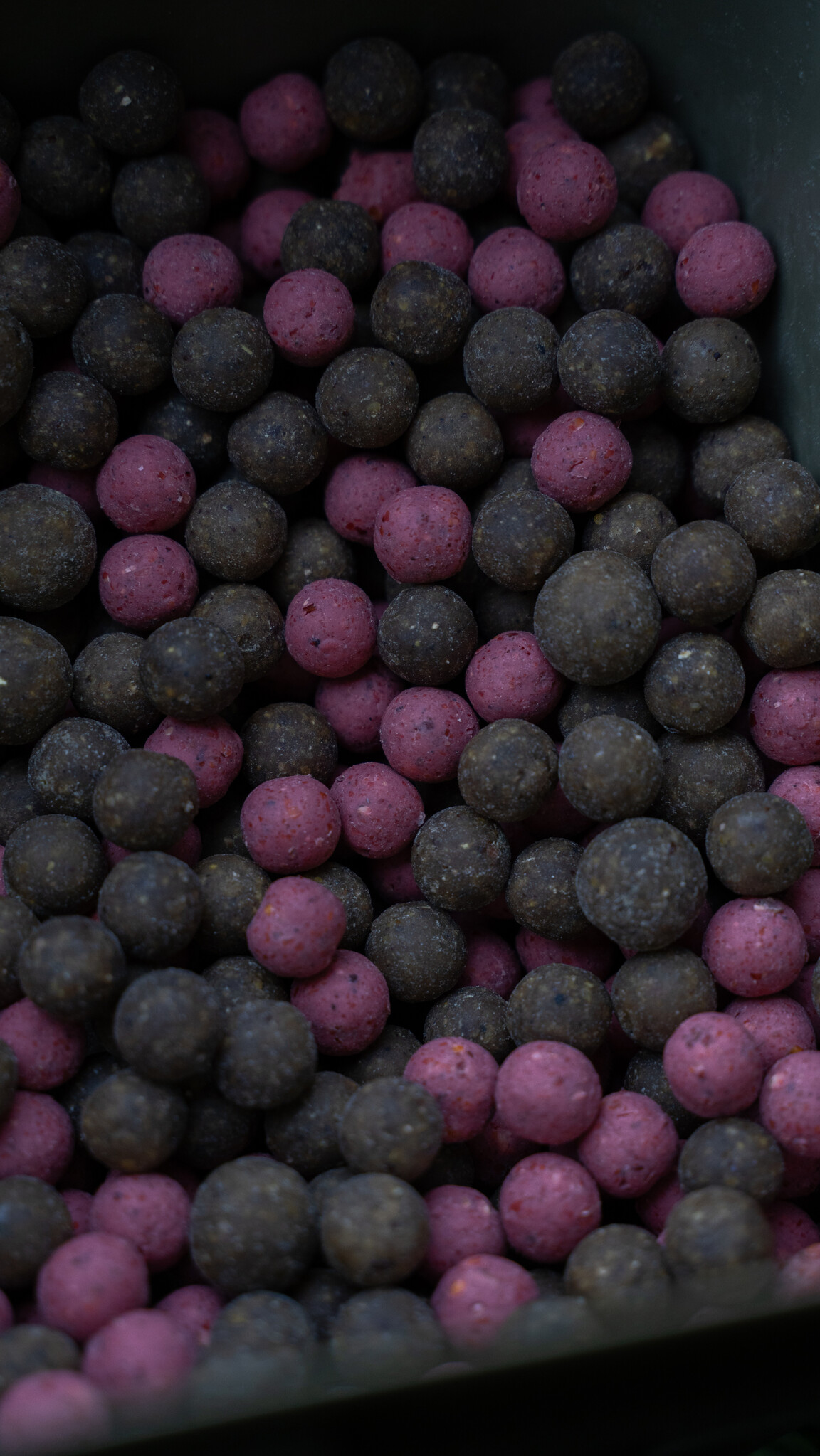 Actiepakket Pink Punch & Fish X - BFP Baits & BFP Carp Store